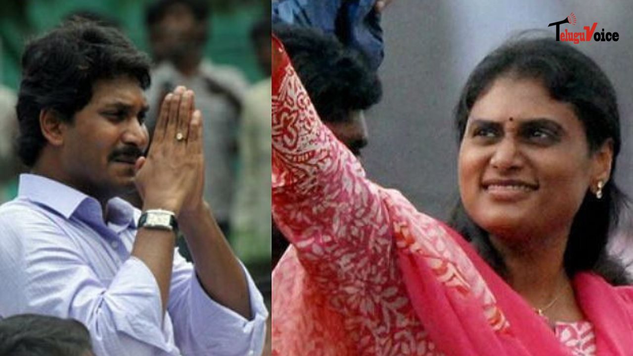 "I Wanted to Settle This Privately, Jagan Anna": YS Sharmila on Family Dispute